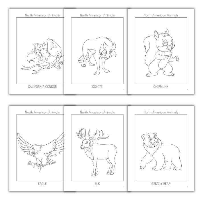 North American Animals Coloring Books – Wellness Resolve