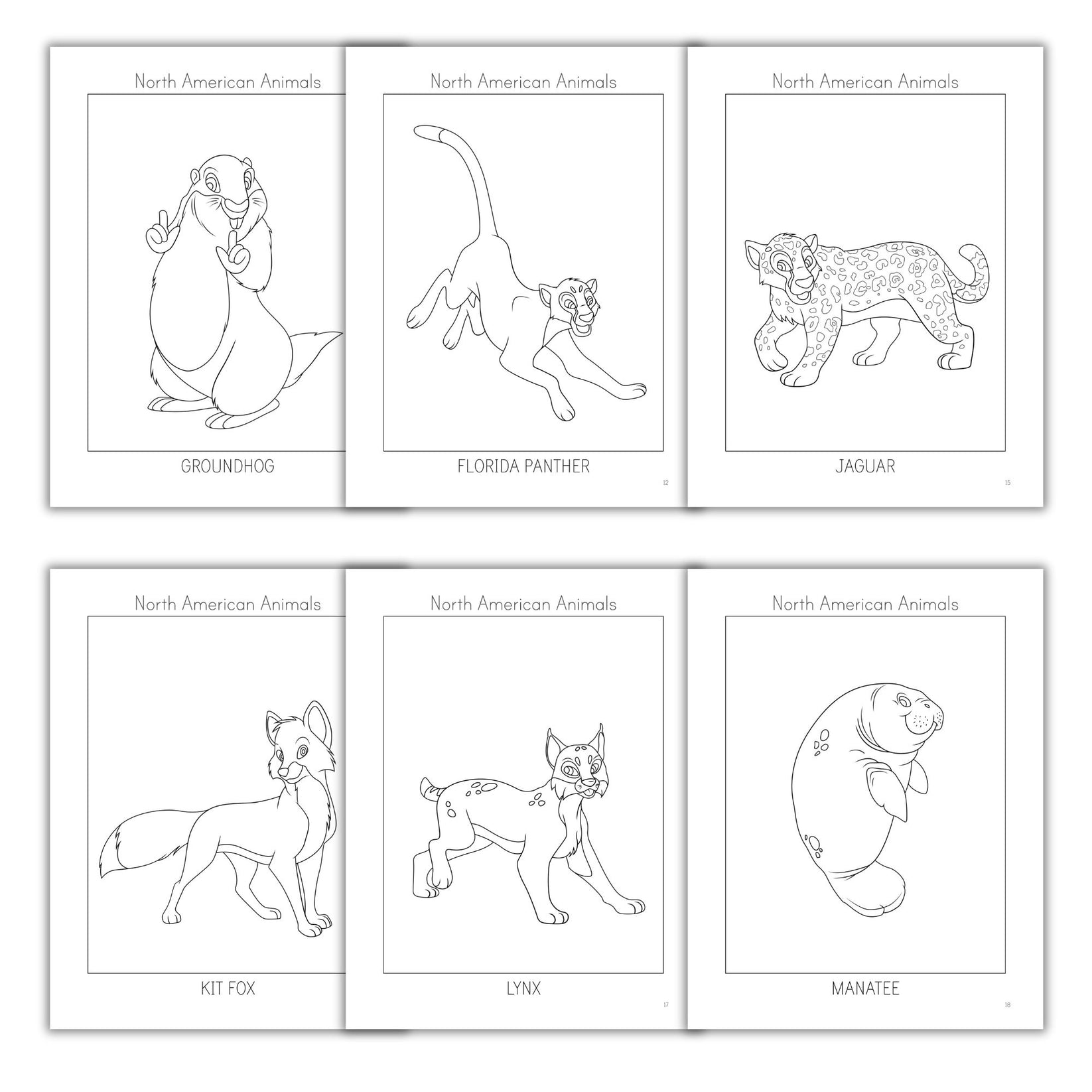 North American Animals Coloring Books – Wellness Resolve
